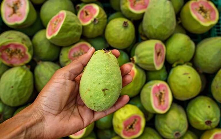 How to Eat Guava: A Complete Guide - HomeThreads.com